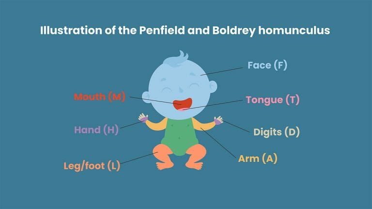 Science and the tactile sense | 5senses4kids