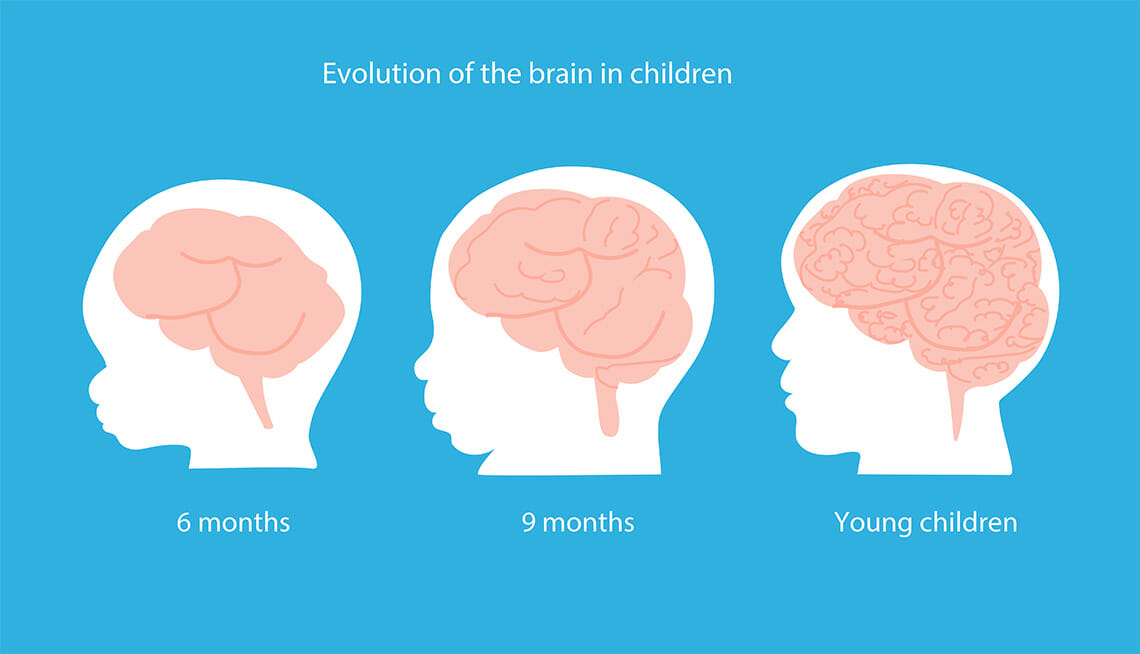 The Brain and the Five Senses | 5senses4kids