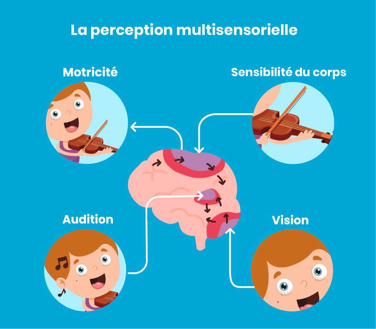 Données Scientifiques sur le Sens Auditif | 5senses4kids